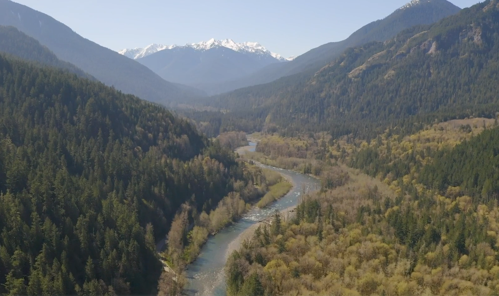 Watch the Last Stand — Saving the Elwha River’s Legacy Forests ...